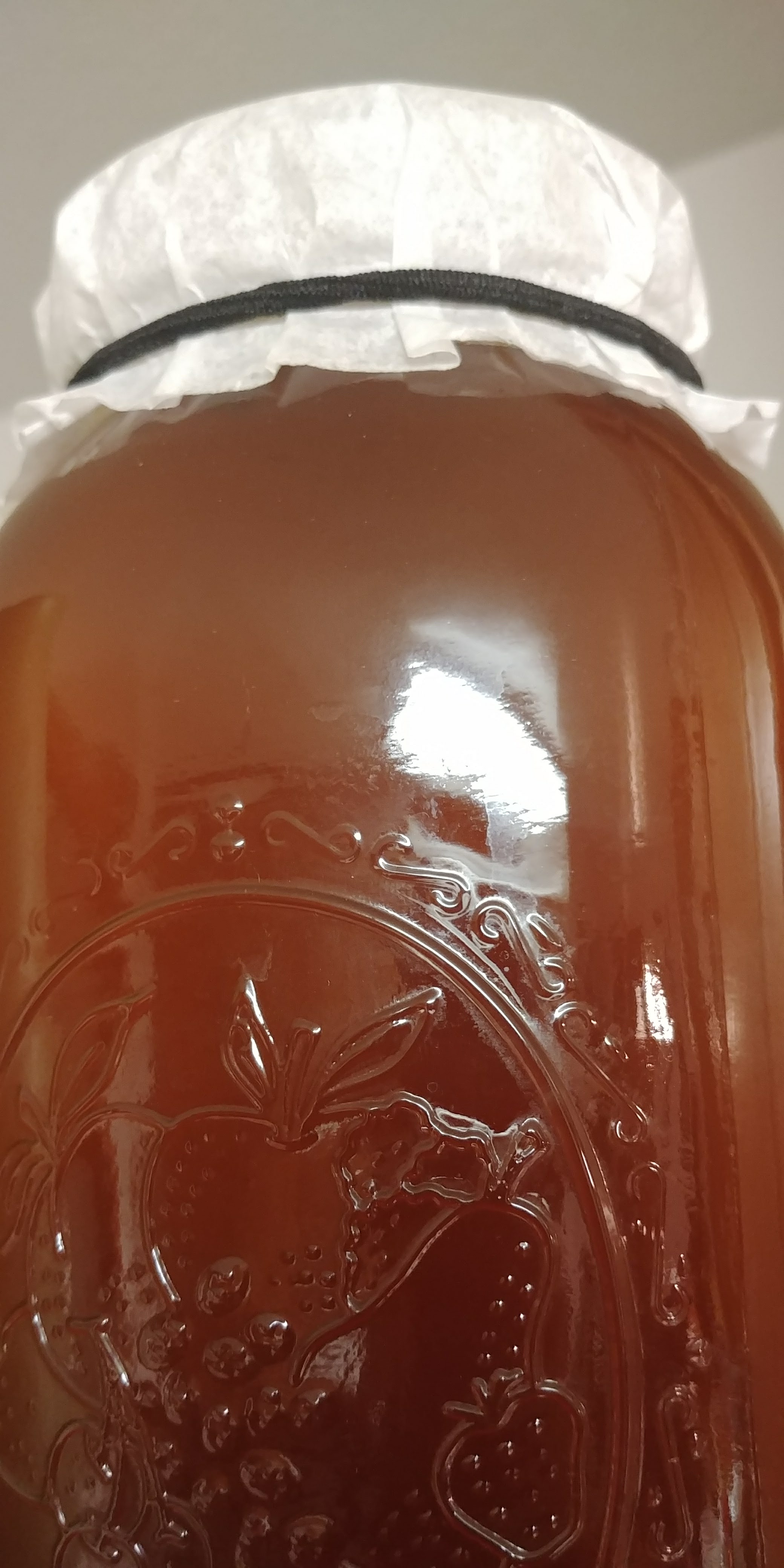 Grow Your Own Kombucha – Natural Liv